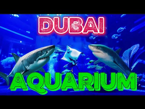 DUBAI AQUARIUM & UNDERWATER ZOO DUBAI MALL