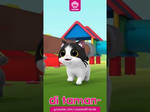 10 Anak Kucing - Short - Lagu Anak Indonesia Terbaru - Anak Kucing Gemoy