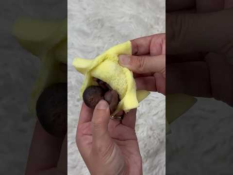Birth of Silicone Baby From Star Womb | Doll Mystery Bag #doll