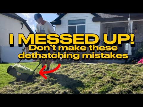 Don’t Make The Same Mistake When Dethatching Your Lawn. #lawn #thatch #lawncare