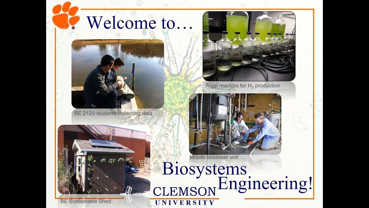 Welcome To Biosystems Engineering Overview