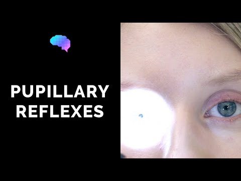 Pupillary Reflexes - OSCE Guide (Clip) | UKMLA | CPSA | PLAB 2