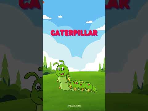 Learn to Say "Caterpillar" 🐛 | Word of the Day with ZuZu #Shorts #zuzulearns #kids #earlylearning
