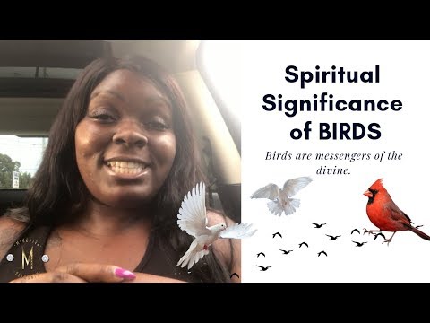 Spiritual Significance of Birds