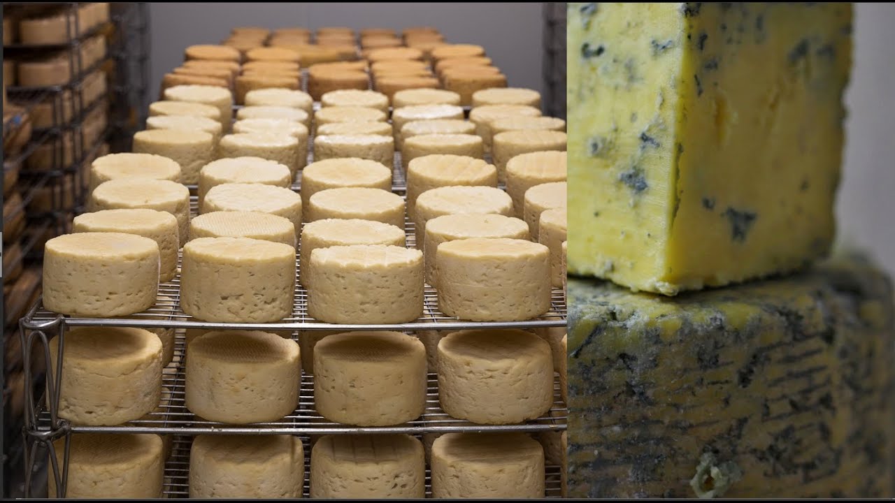 The difference between fermenting and rotting?