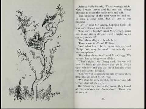 The Magic Finger by Roald Dahl AR read aloud