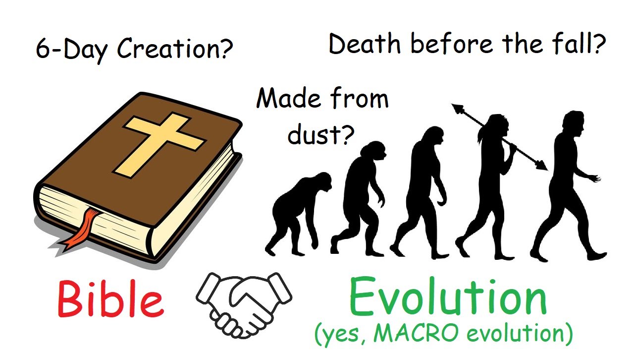 Understanding the Compatibility of Evolution and Biblical Creation ...