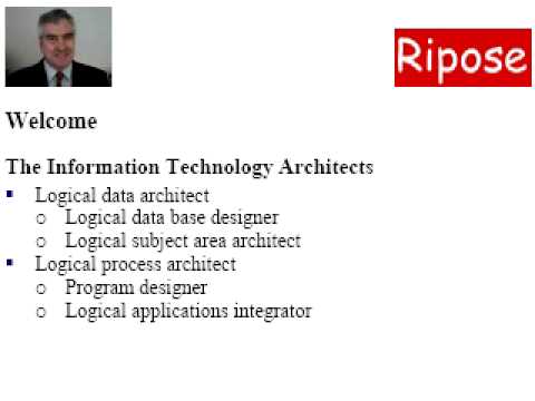 Responsibilities of the information technology architect