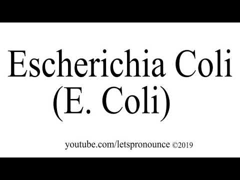 How to Pronounce Escherichia Coli (E.Coli)