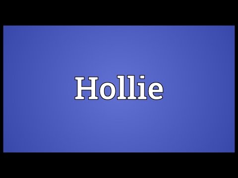 Hollie Meaning