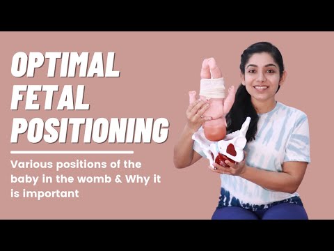 Optimal Fetal Positioning | Various Positions your Baby can take in the Womb & Why it is Important