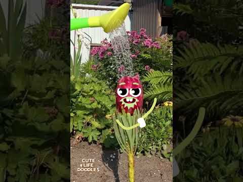 Cute Life Doodles | flower in the soul 🤪 #shorts #doodles #flower #animations #doodlesart