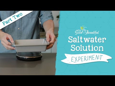 Saltwater Solution Experiment—Part 2 | Chemistry | The Good and the Beautiful