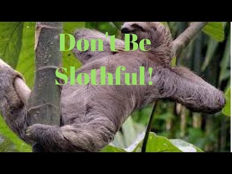 Don't Be Slothful | Bible Studies