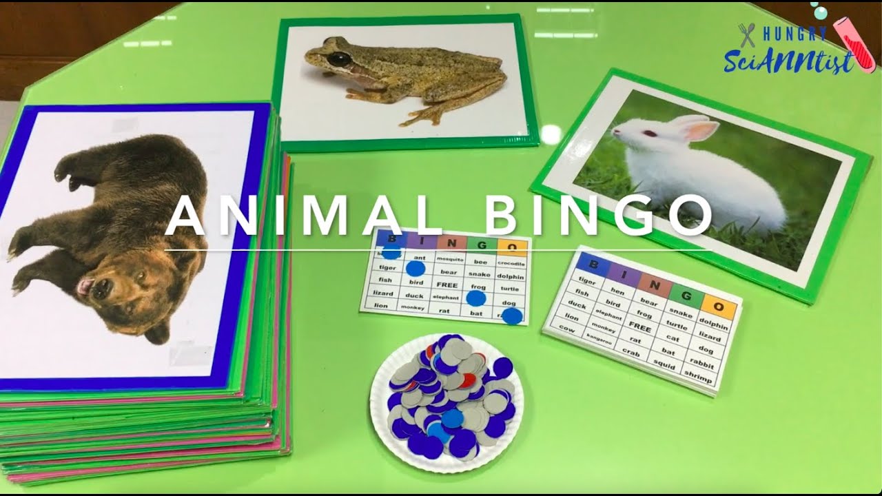 ANIMAL BINGO | Classroom Activity- Ideas | Teaching Animals - Game for Kids | Name the Animal - Game