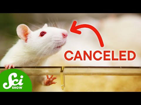 The End of Lab Rats