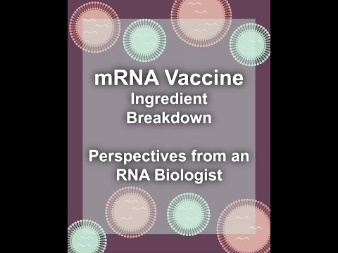 Pfizer and Moderna mRNA Vaccine Ingredients