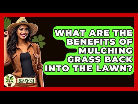 What Are The Benefits Of Mulching Grass Back Into The Lawn? - The Plant Enthusiast