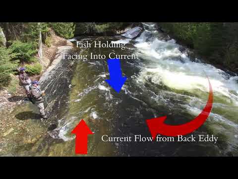 Detecting A Strike | Dealing with Back Eddys