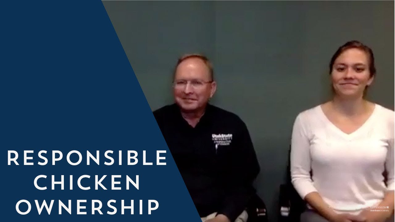 Responsible Chicken Ownership