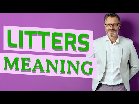 Litters | Meaning of litters π π π π