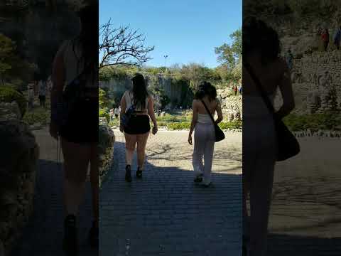 you wont believe what we found at the Japanese tea garden
