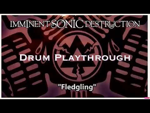 "Fledgling" Drum Playthrough, Pat DeLeon