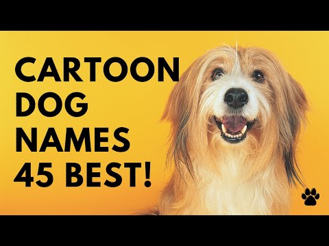 ๐ถ Cartoon Dog Names ๐พ 45 PAWSOME ๐ Ideas | Names