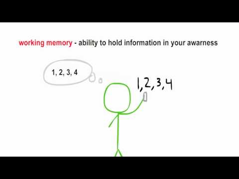 The Memory of H.M. Role of Medial temporal lobe