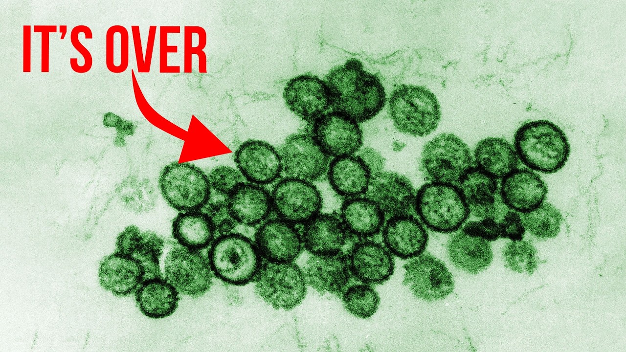 Hantavirus Situation Is Insane
