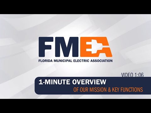 What is FMEA?