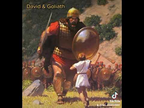 David and Goliath 2