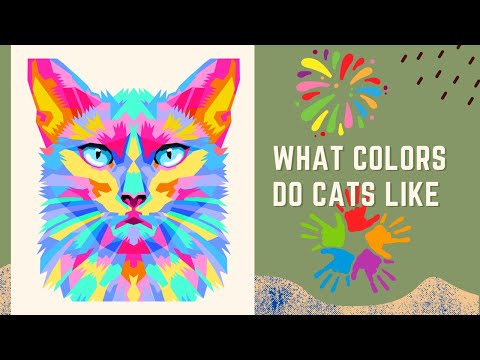 What Colors Do Cats See? A Purrfect Guide to Feline Color Preferences