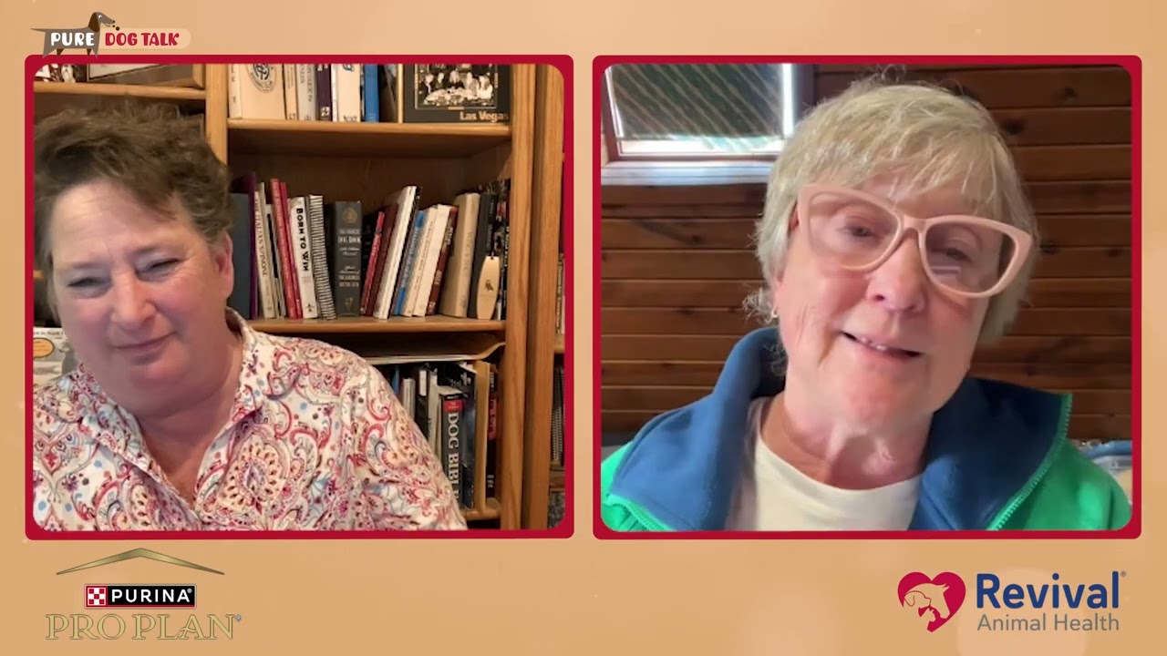 Tube Feeding: When, Why and How with Dr. Marty Greer  DVM