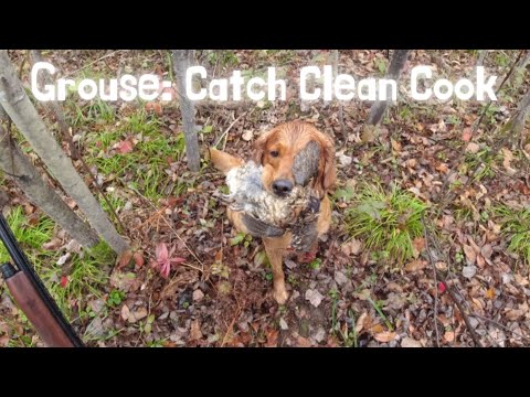 EASIEST Way to COOK Grouse!!!