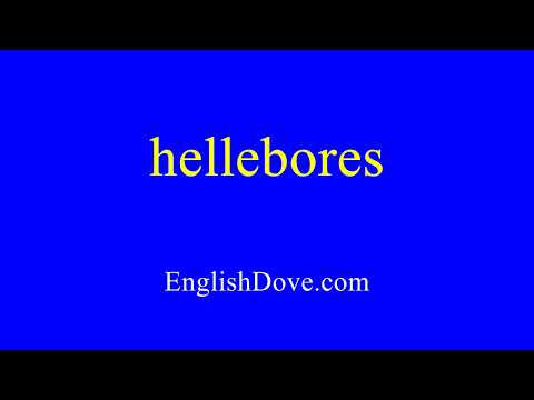 How to pronounce hellebores in American English