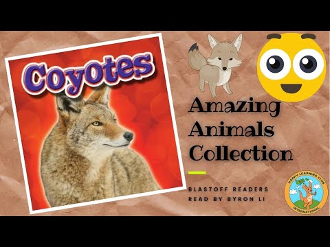 ESL English Stories | Amazing Animals Books - Coyotes | English Listening and Speaking Practice