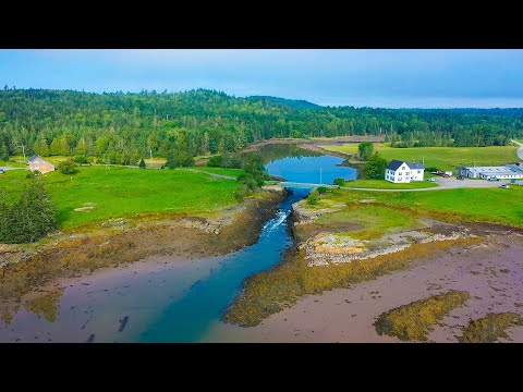 Scything Tide Mill: A 9th Generation Organic Farm
