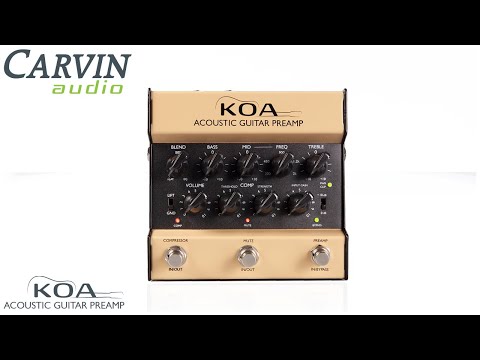 KOA Acoustic Guitar Preamp Open Box #AK725 | Reverb