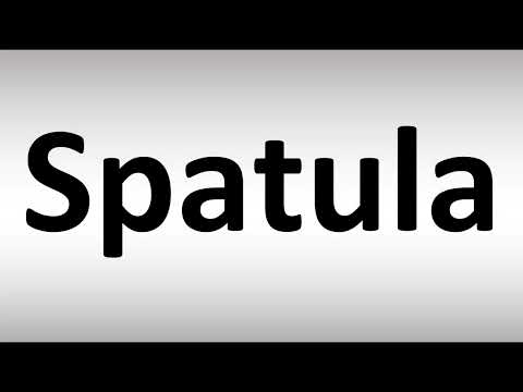 How to Pronounce Spatula