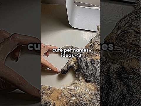 cute pet name ideas♡︎ #youtubeshorts #viral #shortsviral #aesthetic #goneviral
