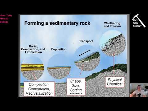 Lecture 9 - Sedimentary Processes and Rocks Part 3