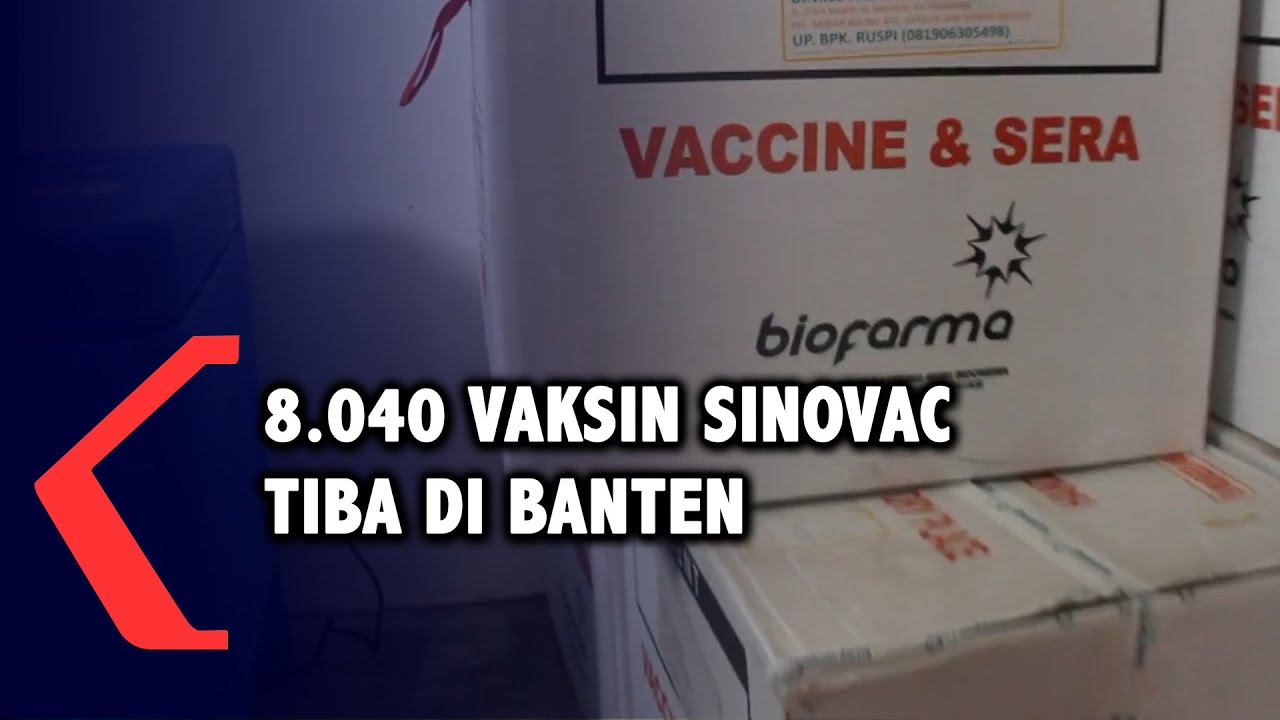 8.040 Vaksin Sinovac Tiba di Lebak, Banten Segera Mulai Vaksinasi Covid-19