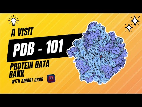 Exploring the Protein Data Bank (PDB): A Comprehensive Guide | PDB101
