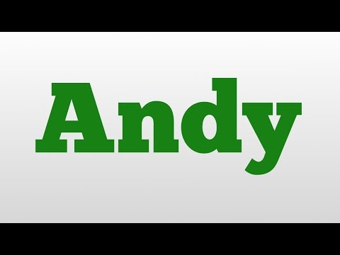 Andy meaning and pronunciation