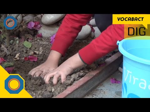 Dig Meaning | VocabAct | NutSpace