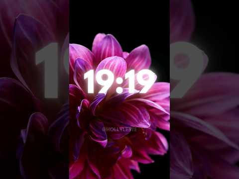 1919 Significado Espiritual #shorts #youtubeshorts #1919significado