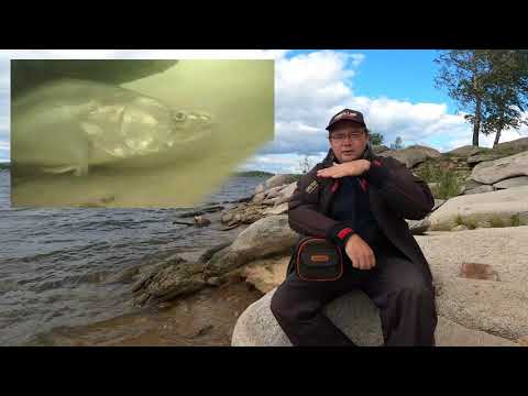 Камера подводная для рыбалки FocusFish, Российского производства