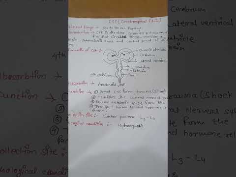 #csf#cerebrospinalfluid #mltstudent