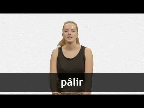 English Translation of “PÂLIR” | Collins French-English Dictionary